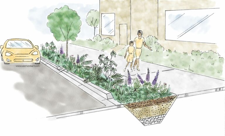 Bioswale Basics: Transforming Urban Landscapes for Better Water ...